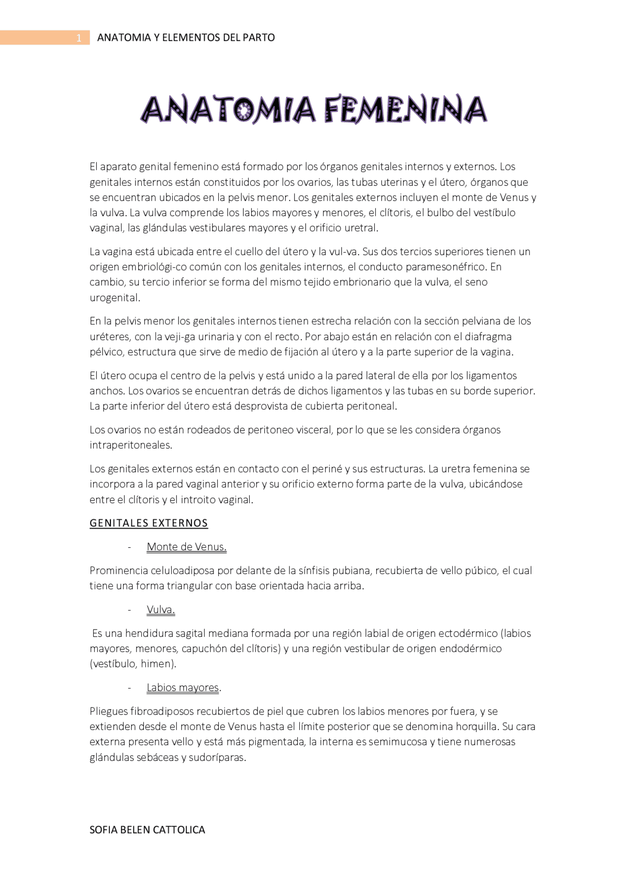 Anatomia y elementos del parto - Docsity