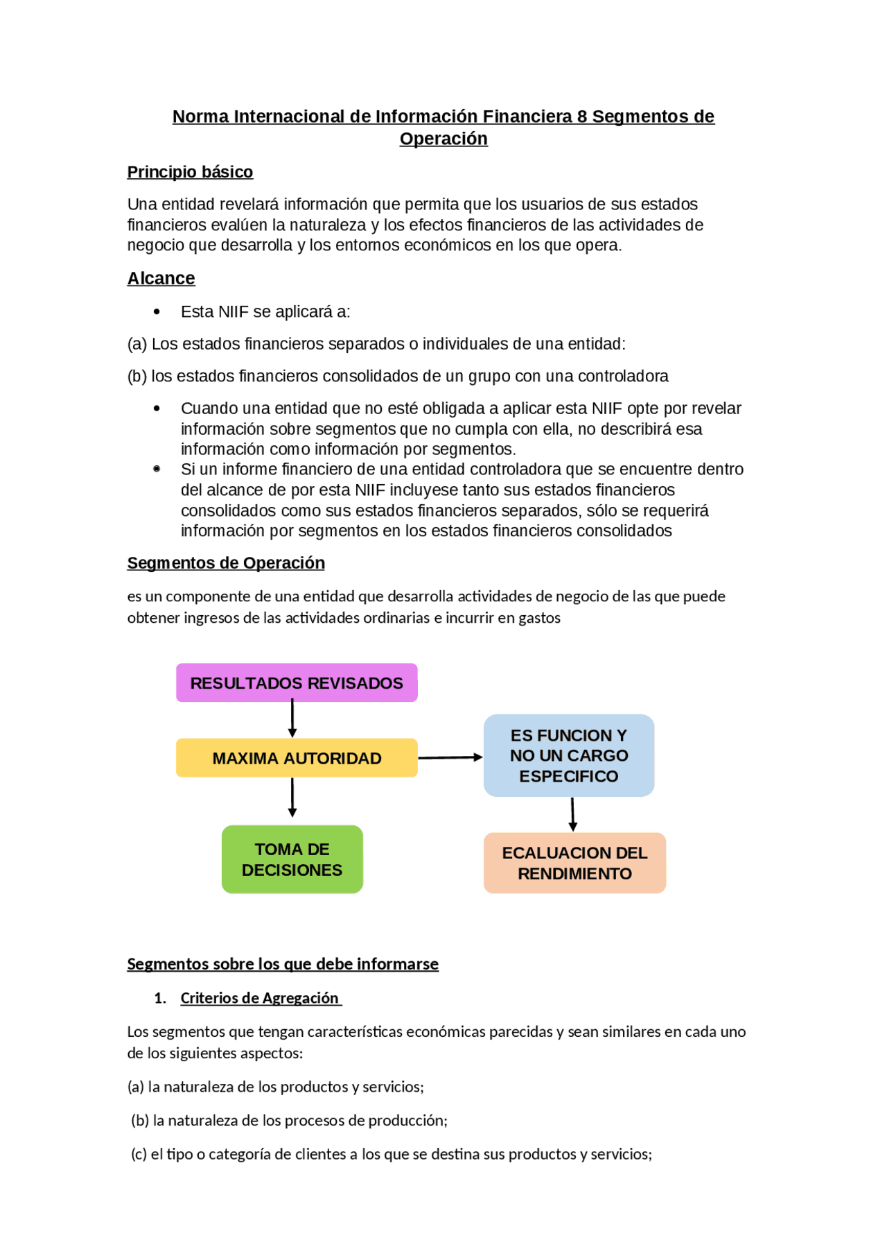 RESUMEN DE LAS NIIF 8 - Docsity
