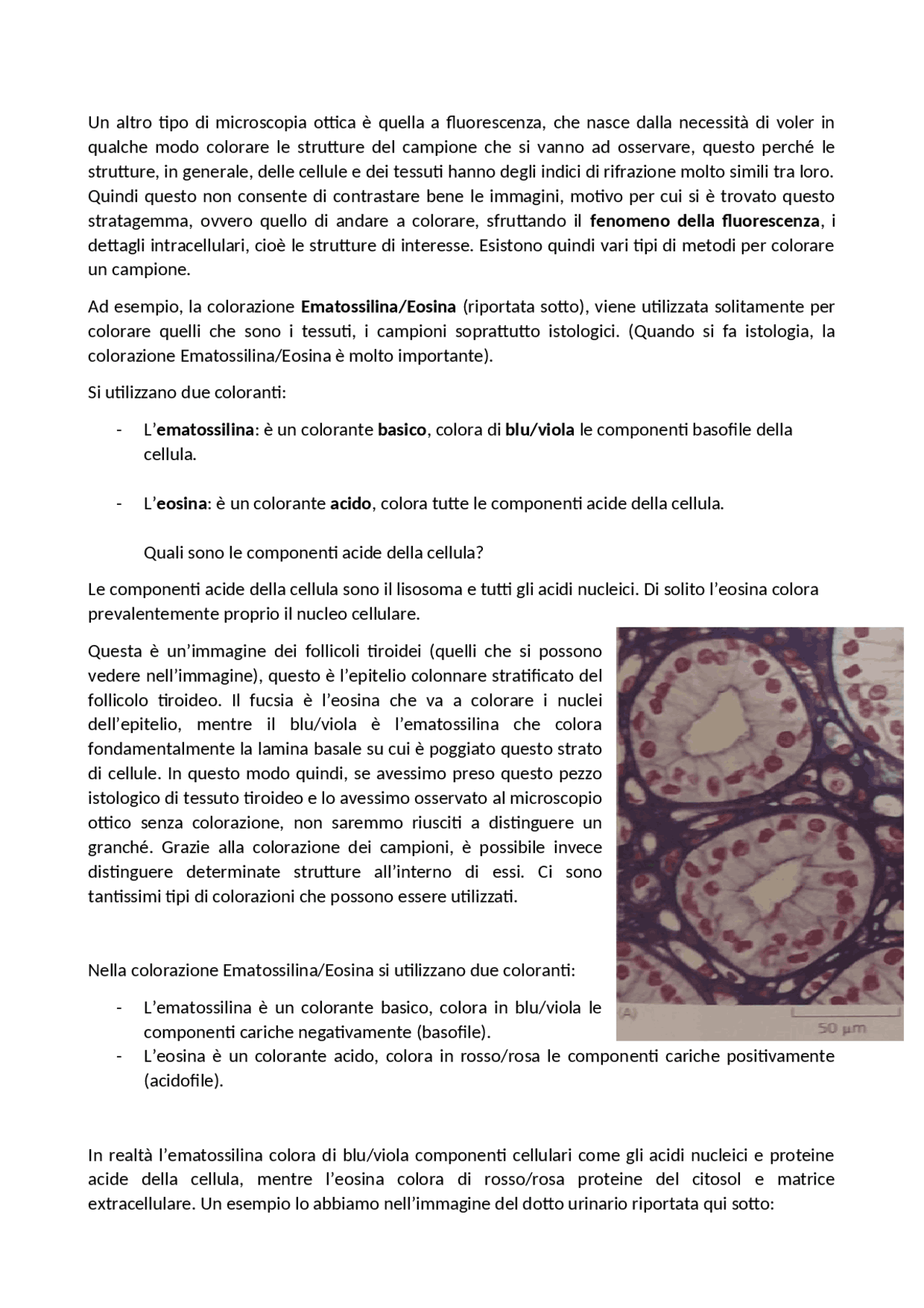 I Microscopi Approfondimento Appunti Di Biologia Docsity