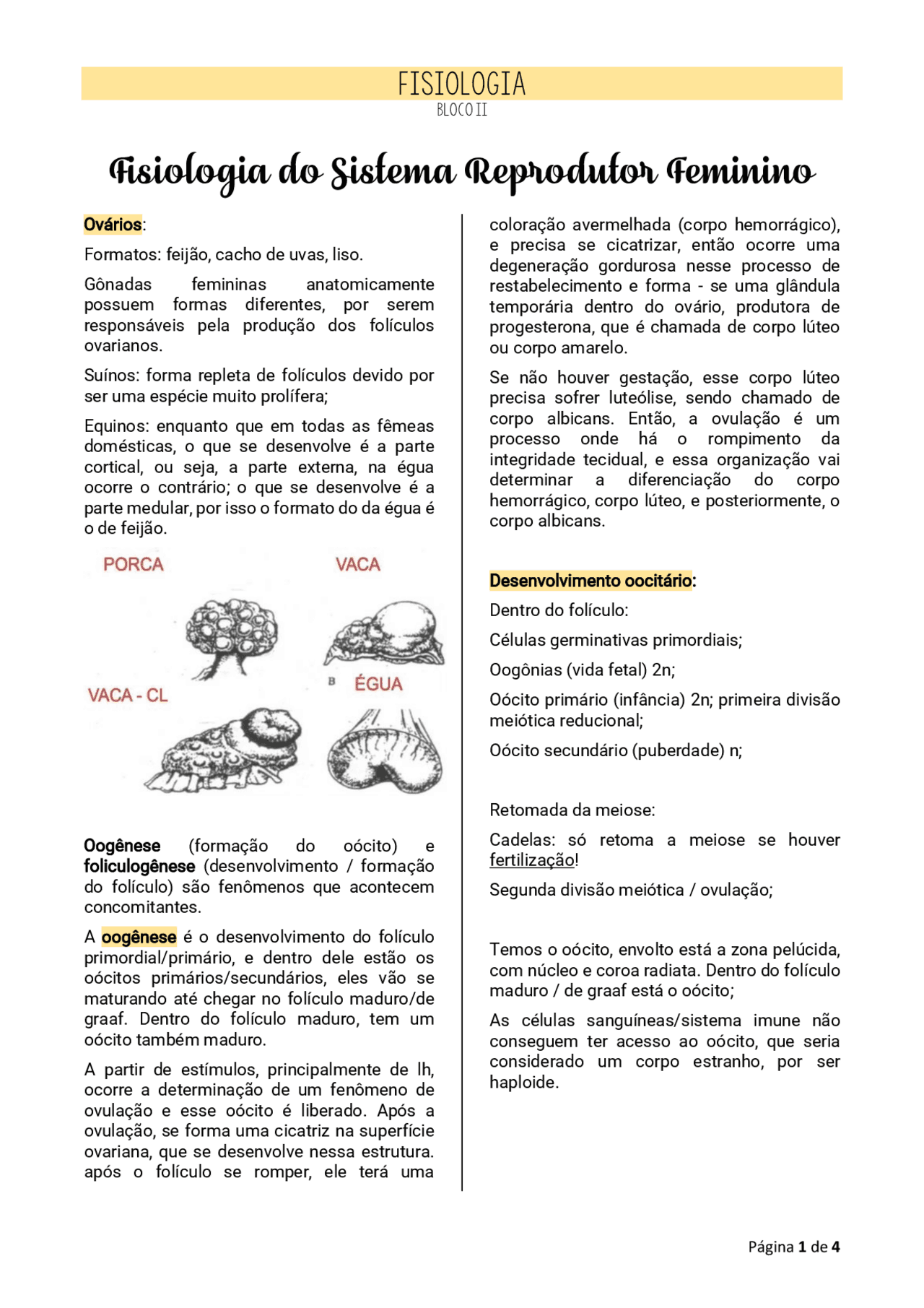 Fisiologia Do Sistema Reprodutor Feminino Docsity