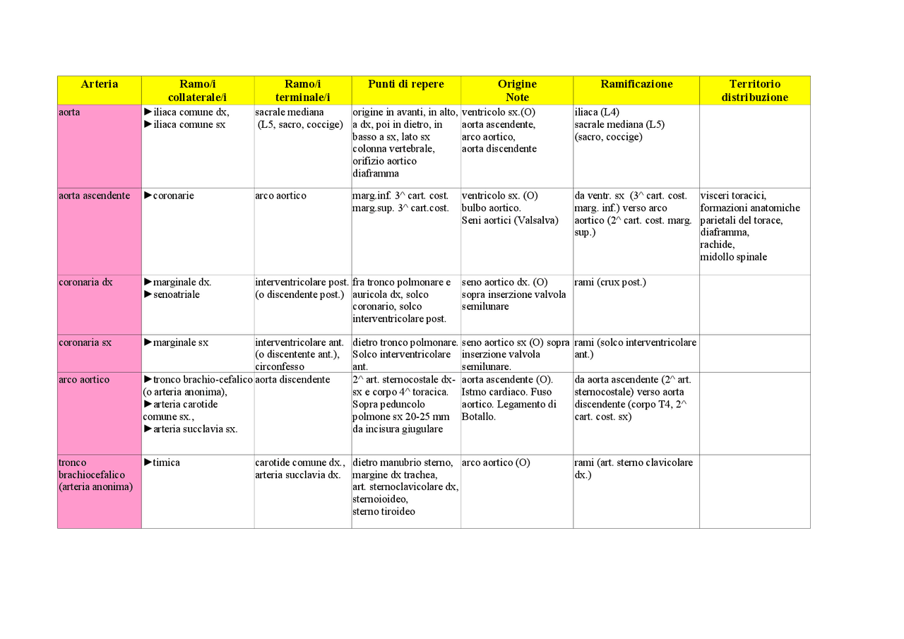 Schema Arterie Completo Schemi E Mappe Concettuali Di Anatomia Docsity