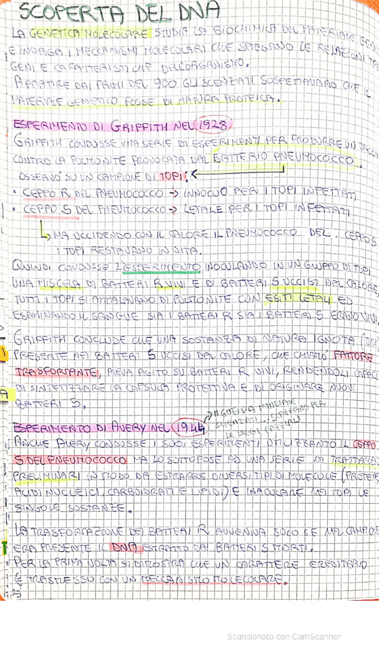Dna E La Sua Scoperta Riassunto Docsity
