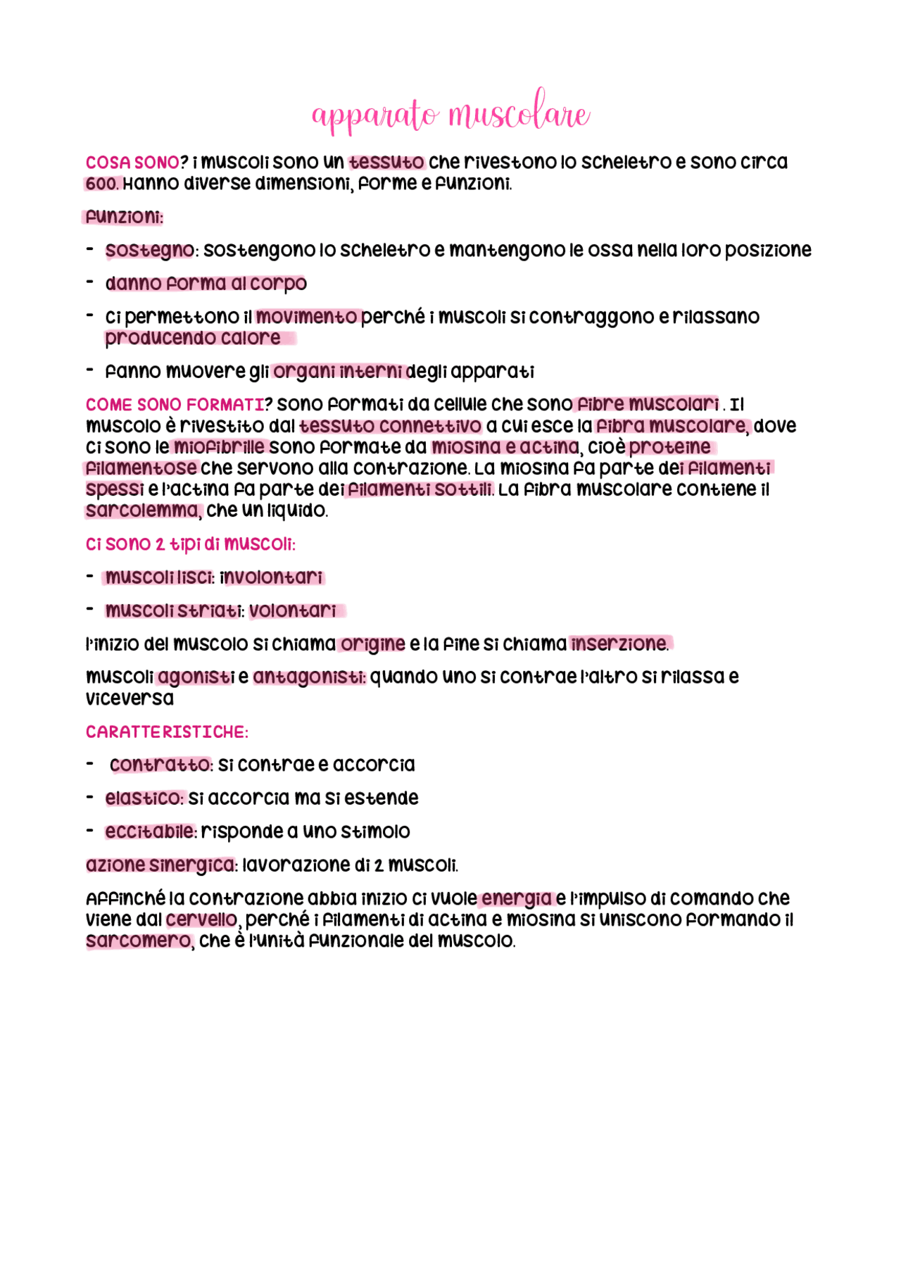 Appunti Apparato Muscolare Docsity