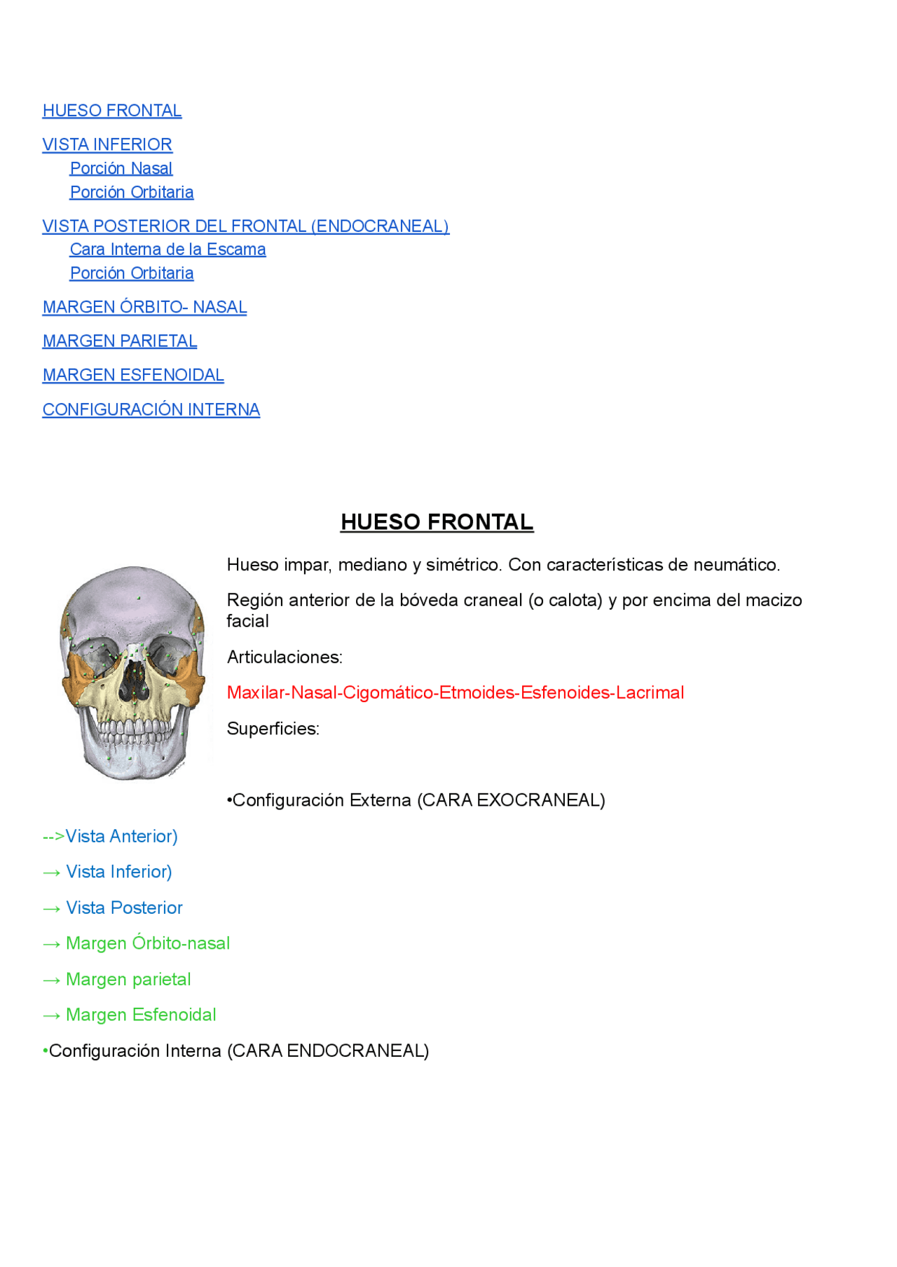 Hueso Frontal Resumen Docsity