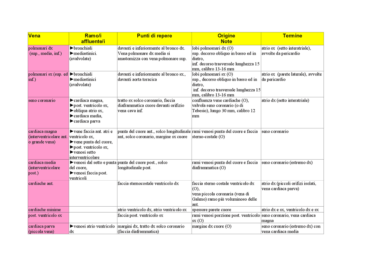 Schema Completo Vene Docsity