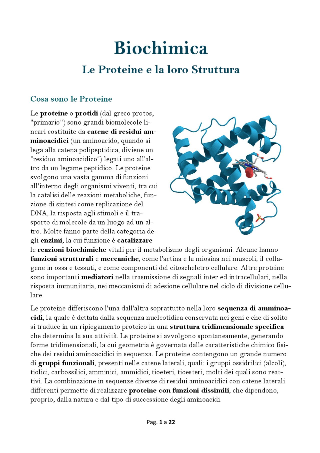 Biochimica Proteine Docsity