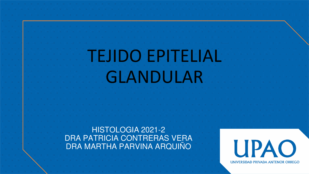 Teoria Clase Tejido Glandular Docsity