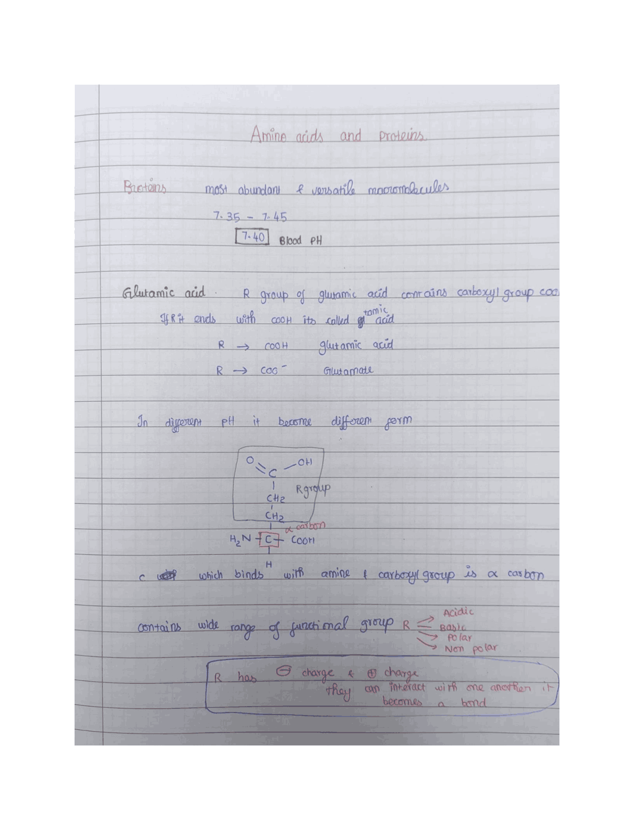 Amino Acids Intro Notes Docsity