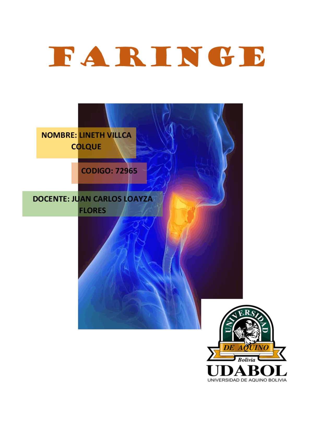 Anatomia De La Faringe Apuntes De Anatomía Docsity
