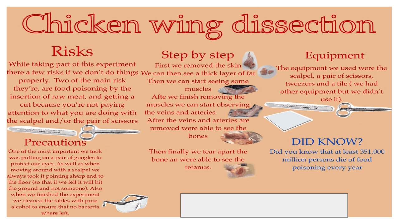 Chicken wing dissection - Docsity