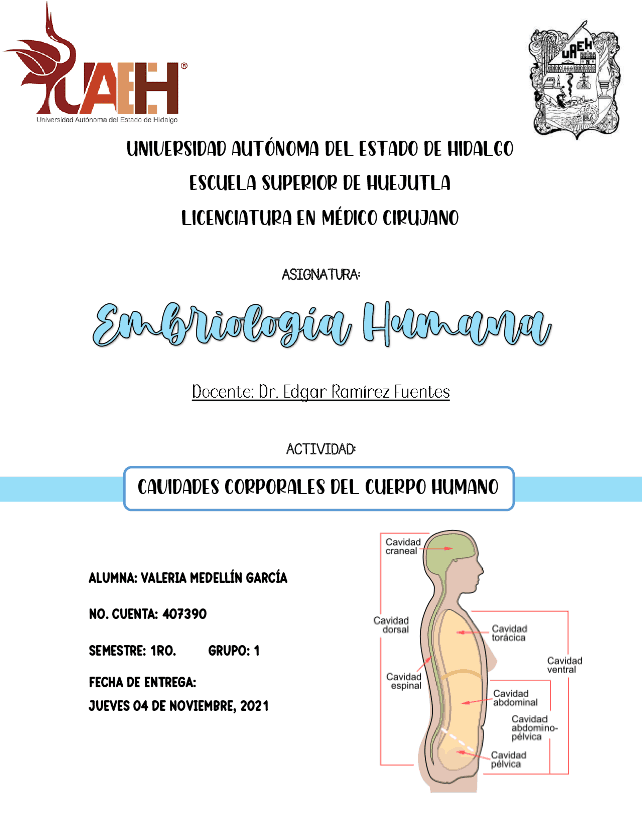 Apuntes De Embriología Docsity