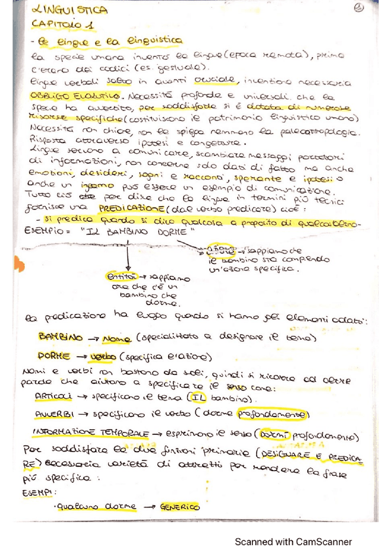 Riassunti Prima Parte Di Linguistica Docsity
