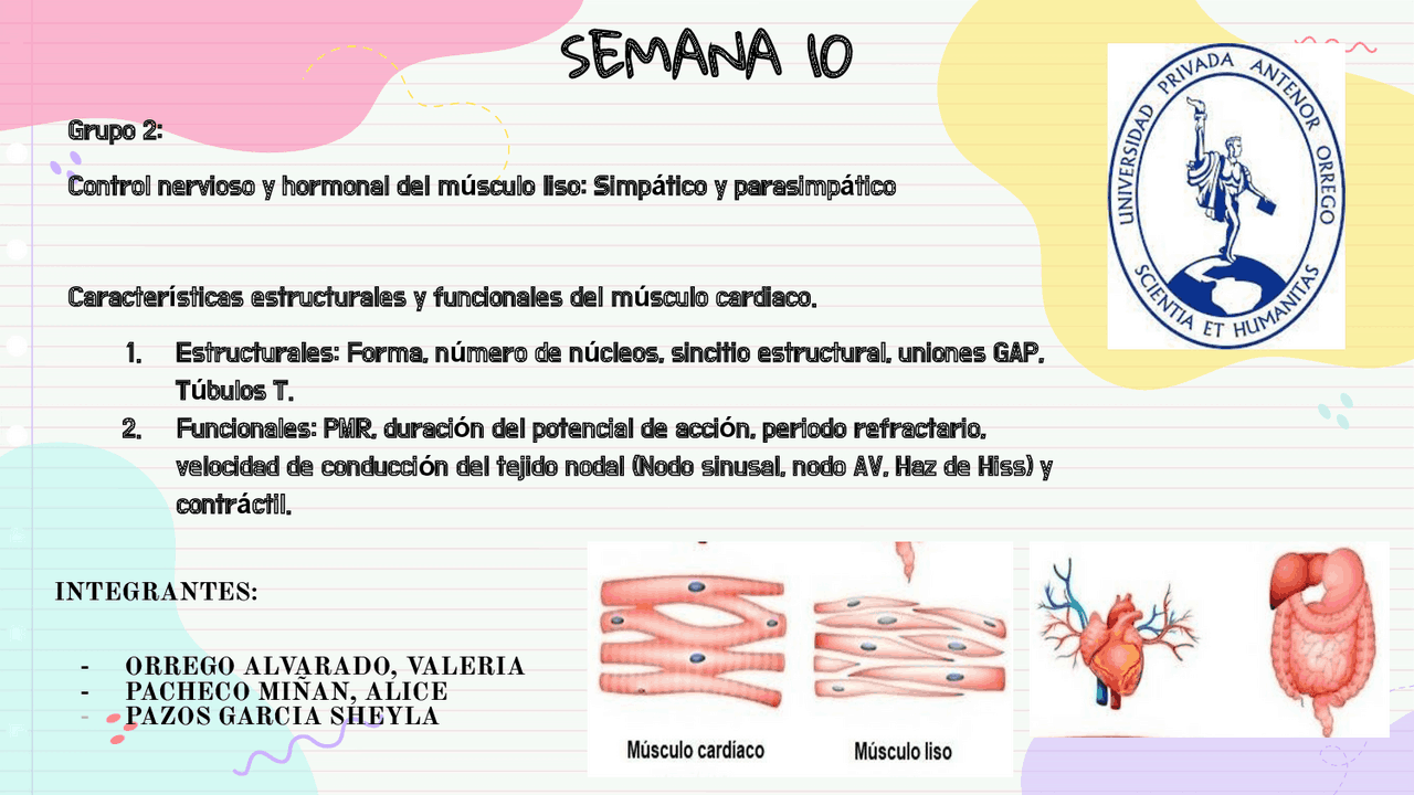 FISIOLOGIA DEL MUSCULO LISO | Schemes and Mind Maps of Physiology | Docsity