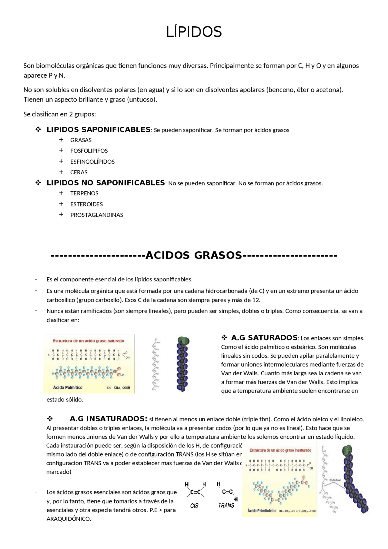 Lipidos Apuntes Evau Docsity