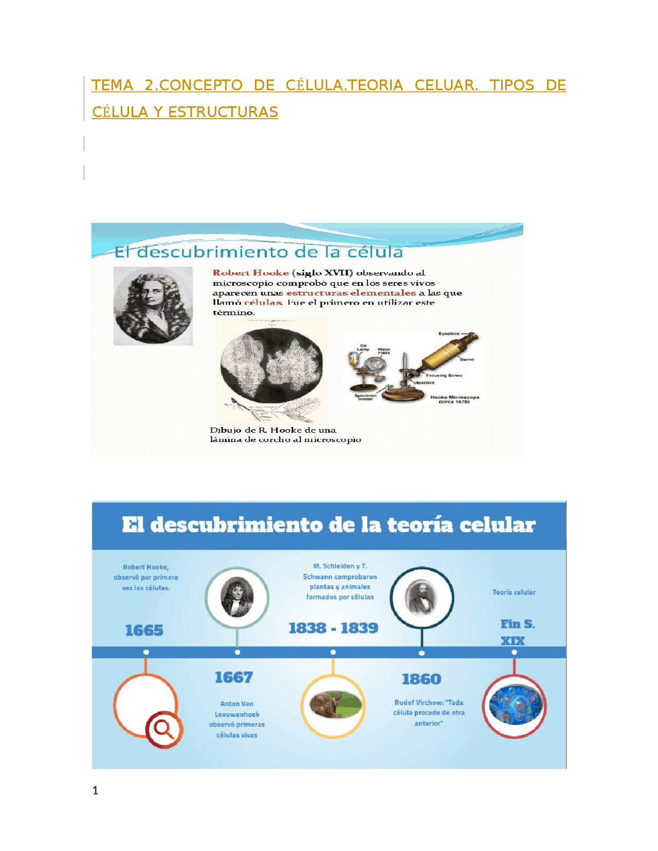 LA CÉLULA. Tipos y estructura.Los orgánulos celulares y sus funciones ...
