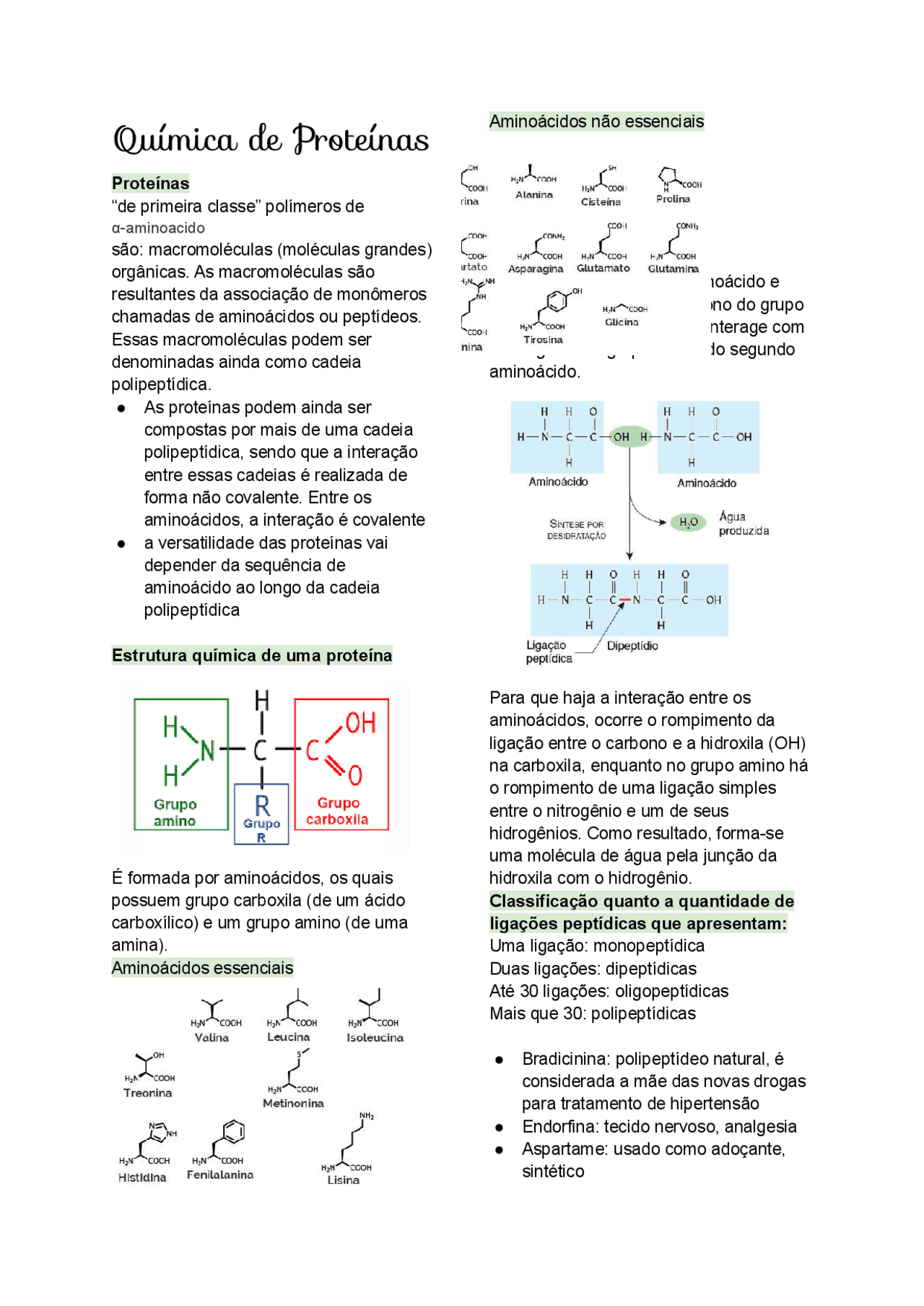 Química De Proteínas Resumos Bioquímica Docsity