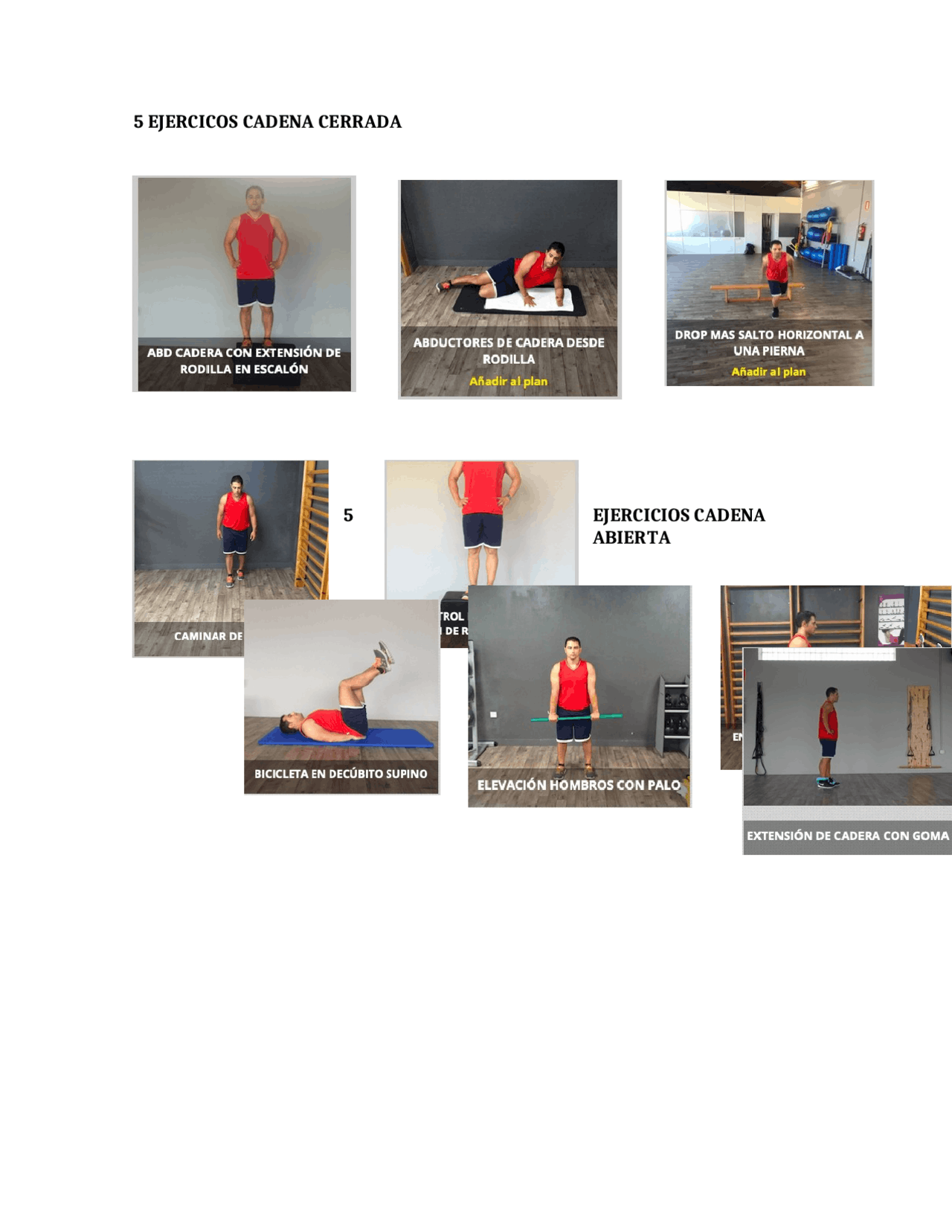 Sistema Respiratorio Docsity