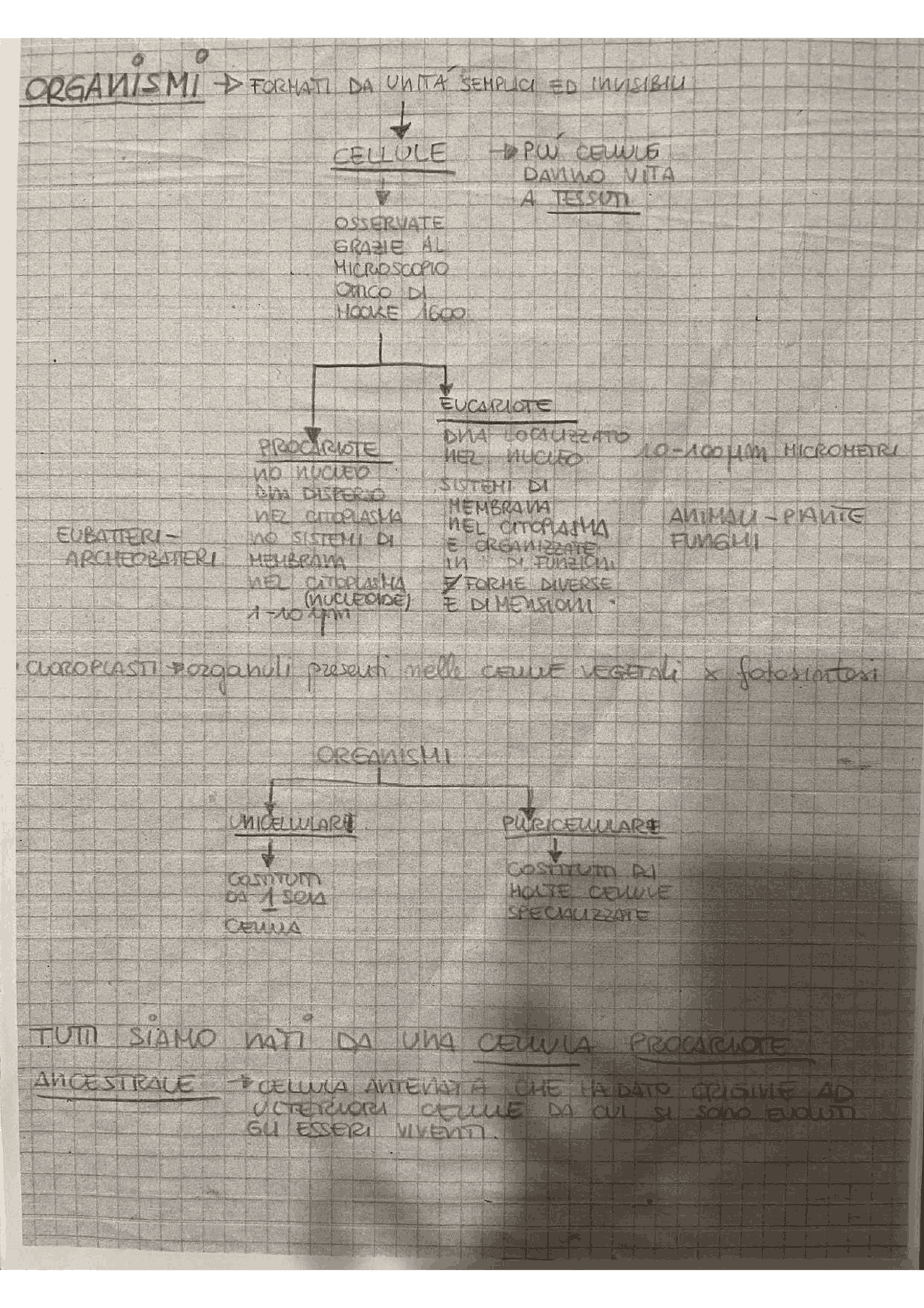 Riassunto Lezioni Biologia Docsity