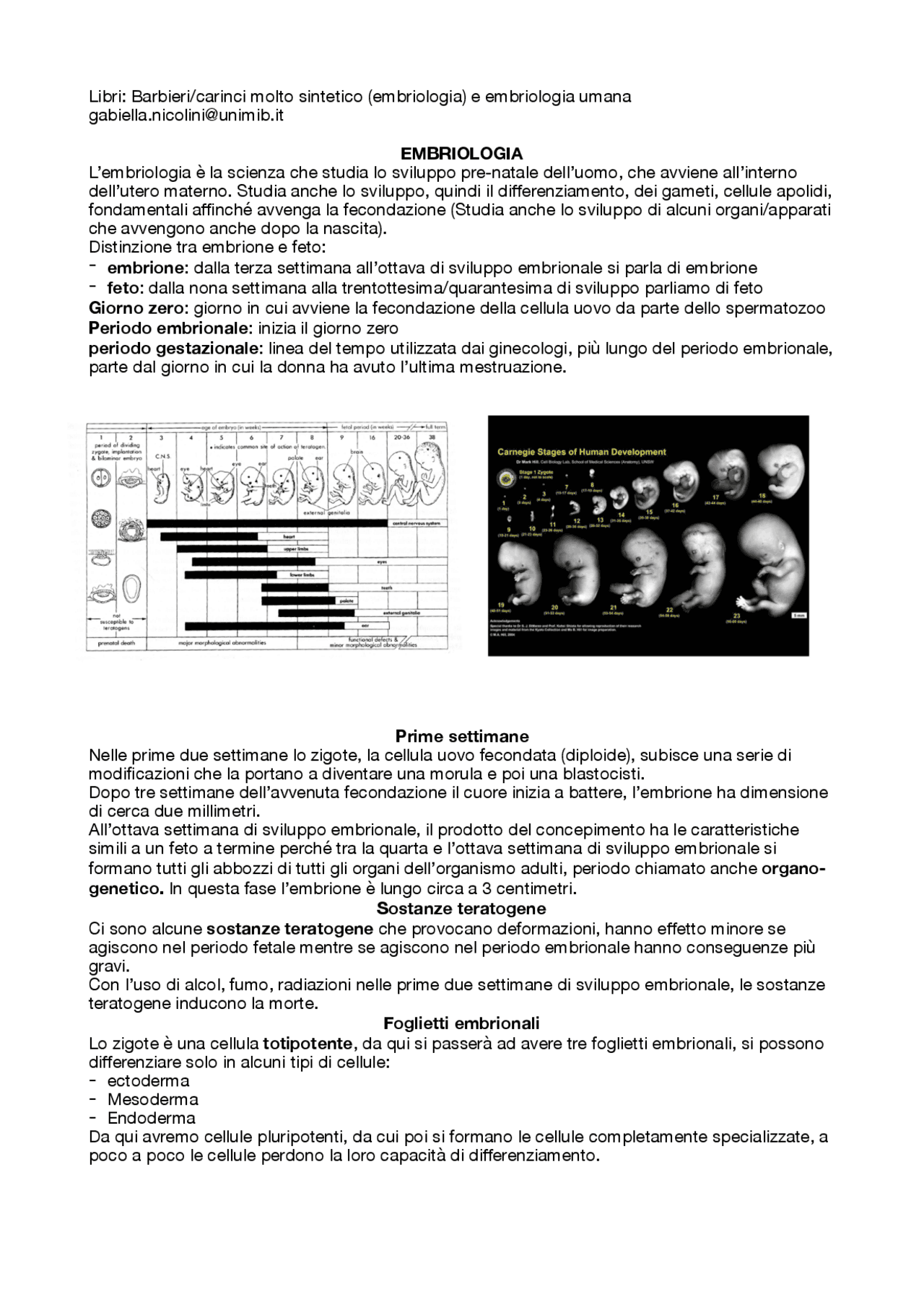 Embriologia Appunti Con Immagini Docsity