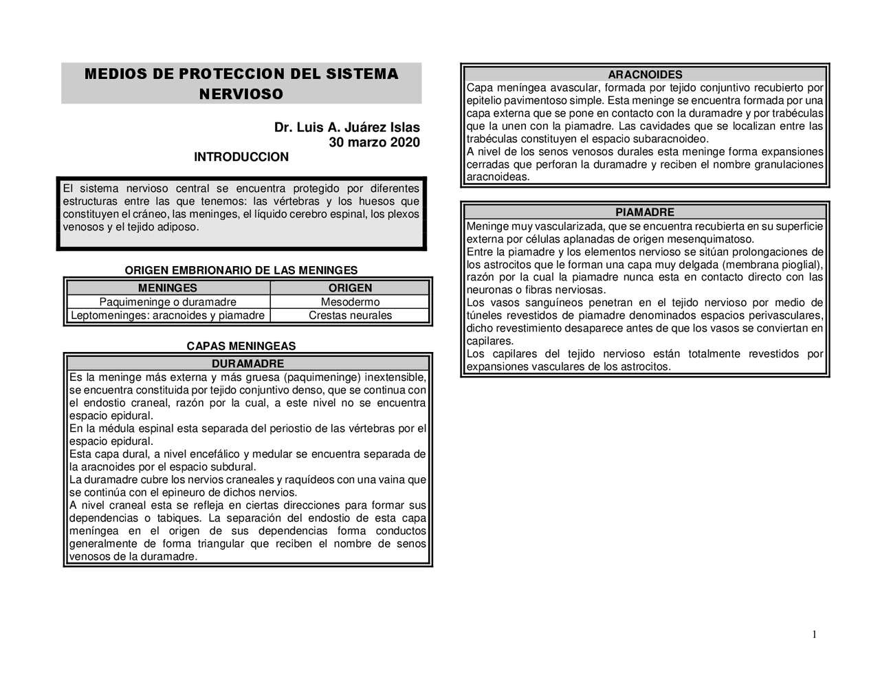 Introducción A La Neuroanatomia Docsity
