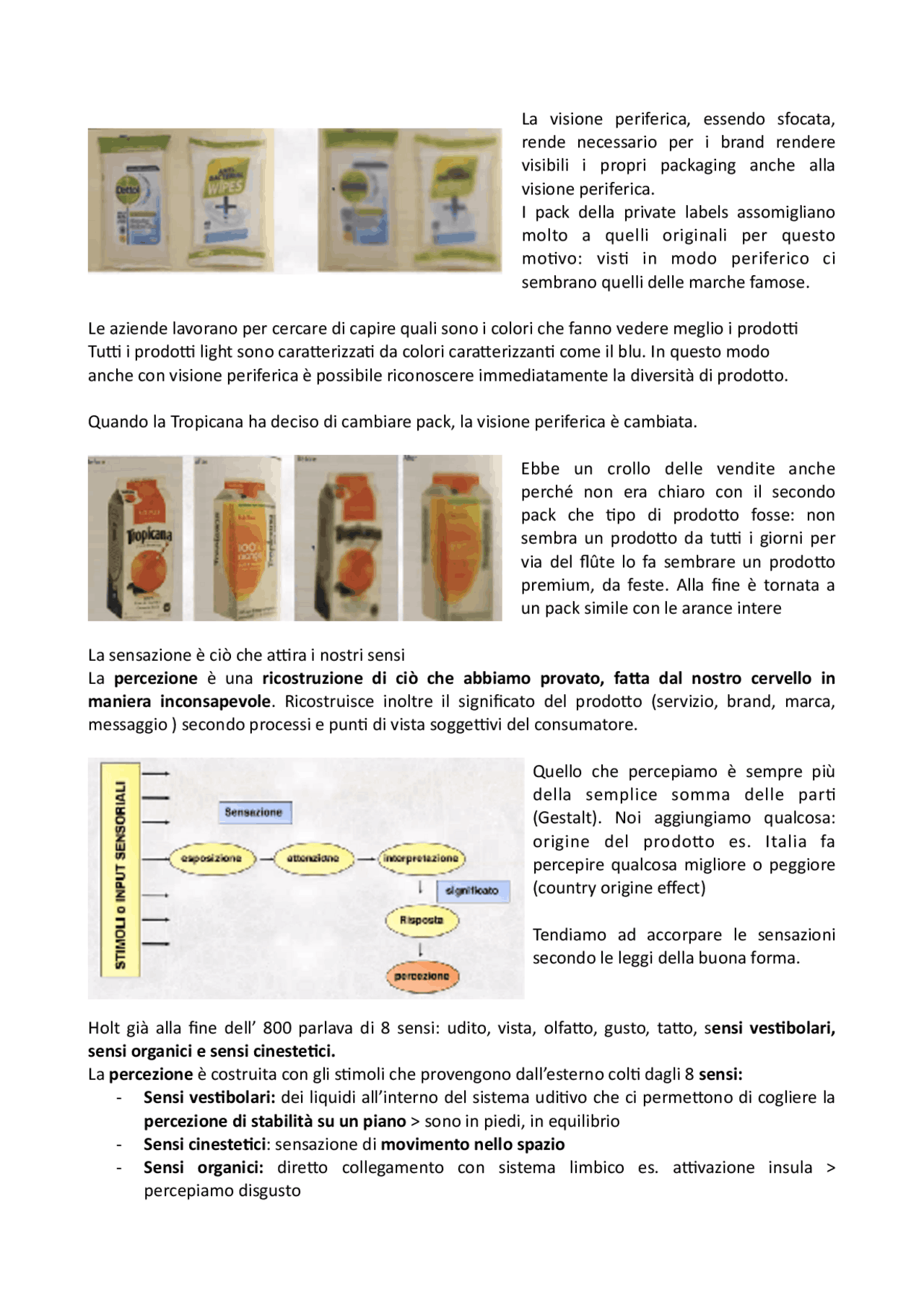 Parte 3 Neuromarketing Docsity