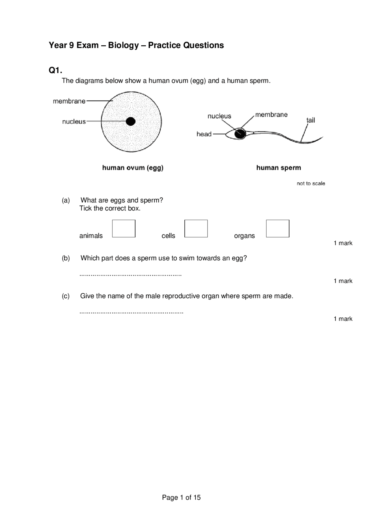 Biology Practice Test Questions And Answers Docsity biology-practice-test-questions-and-answers-docsity