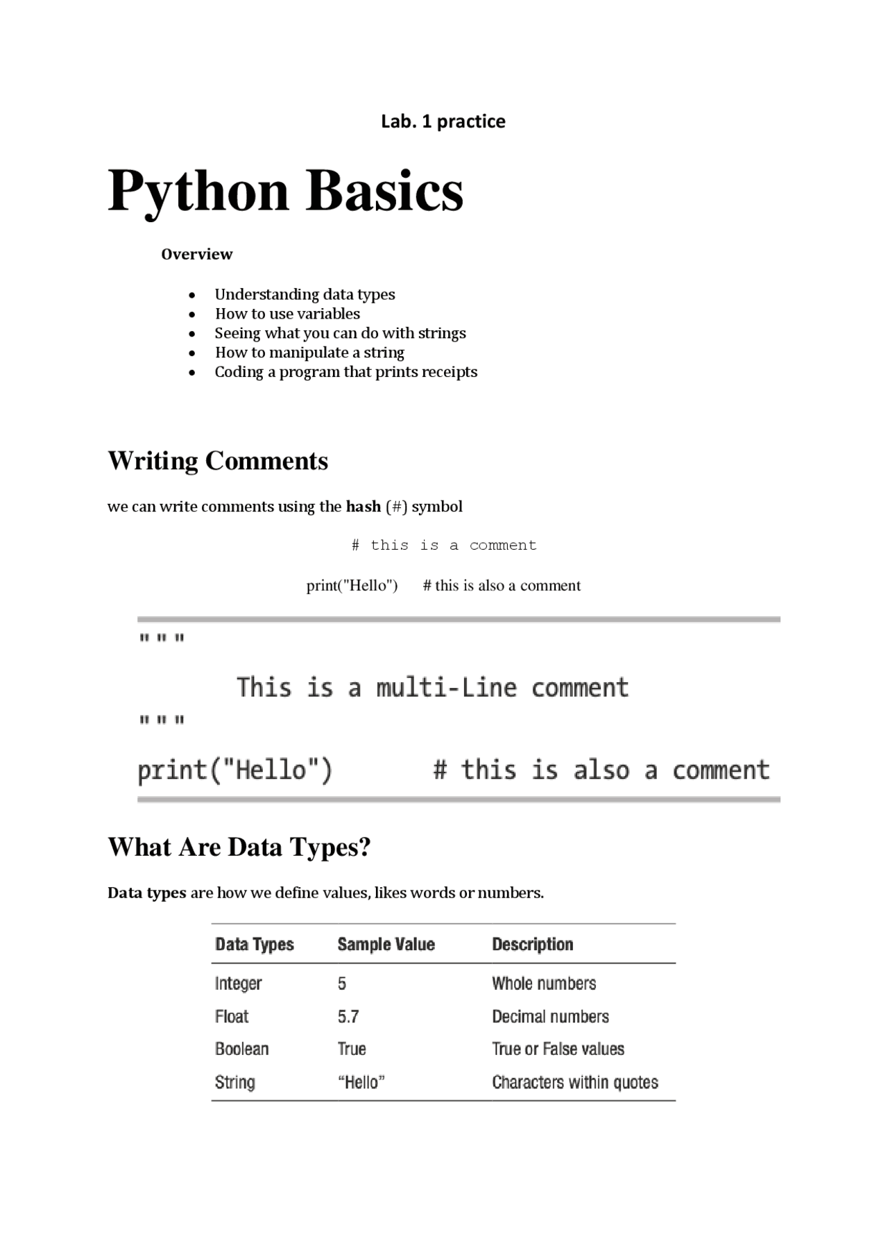 Python Lab Assignments Python Basics Docsity 1705