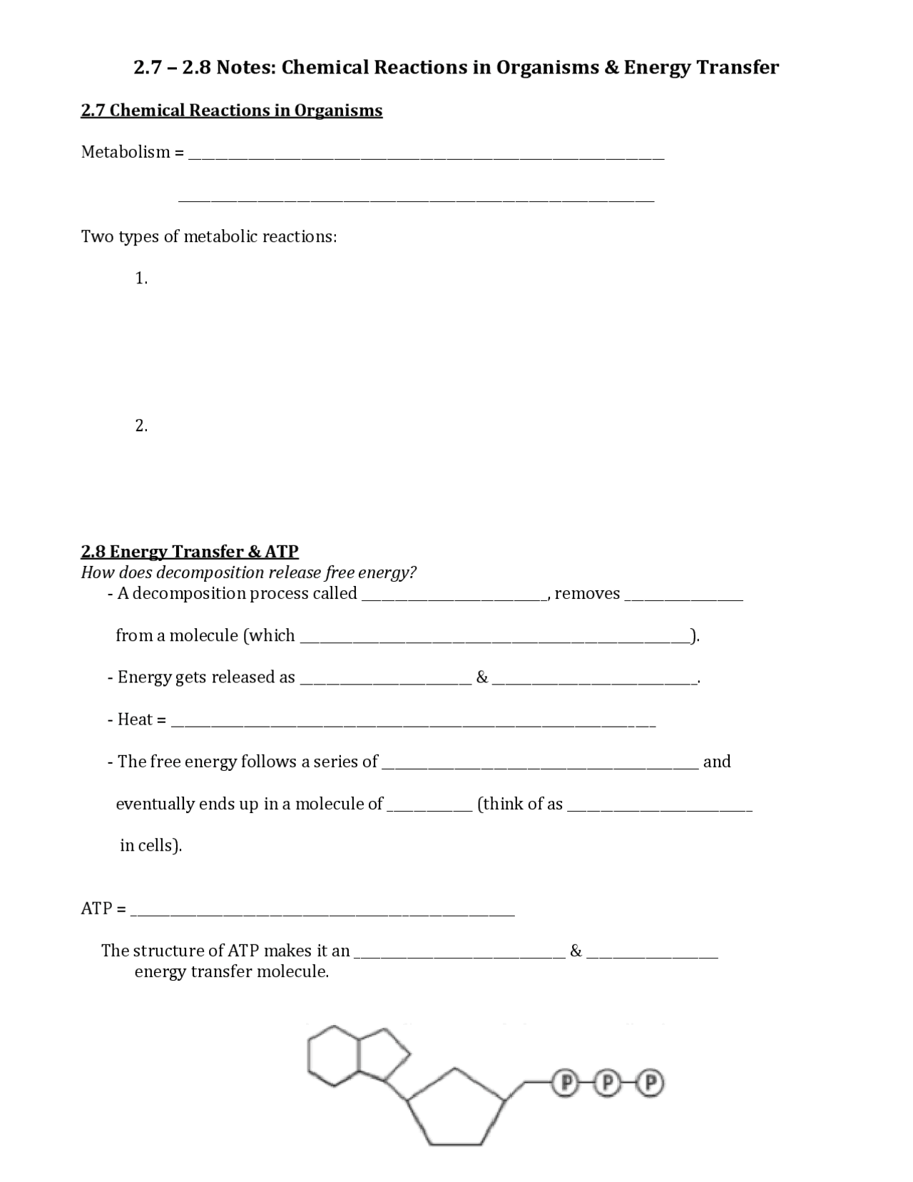 Biology Worksheet Neurons And Atoms Docsity