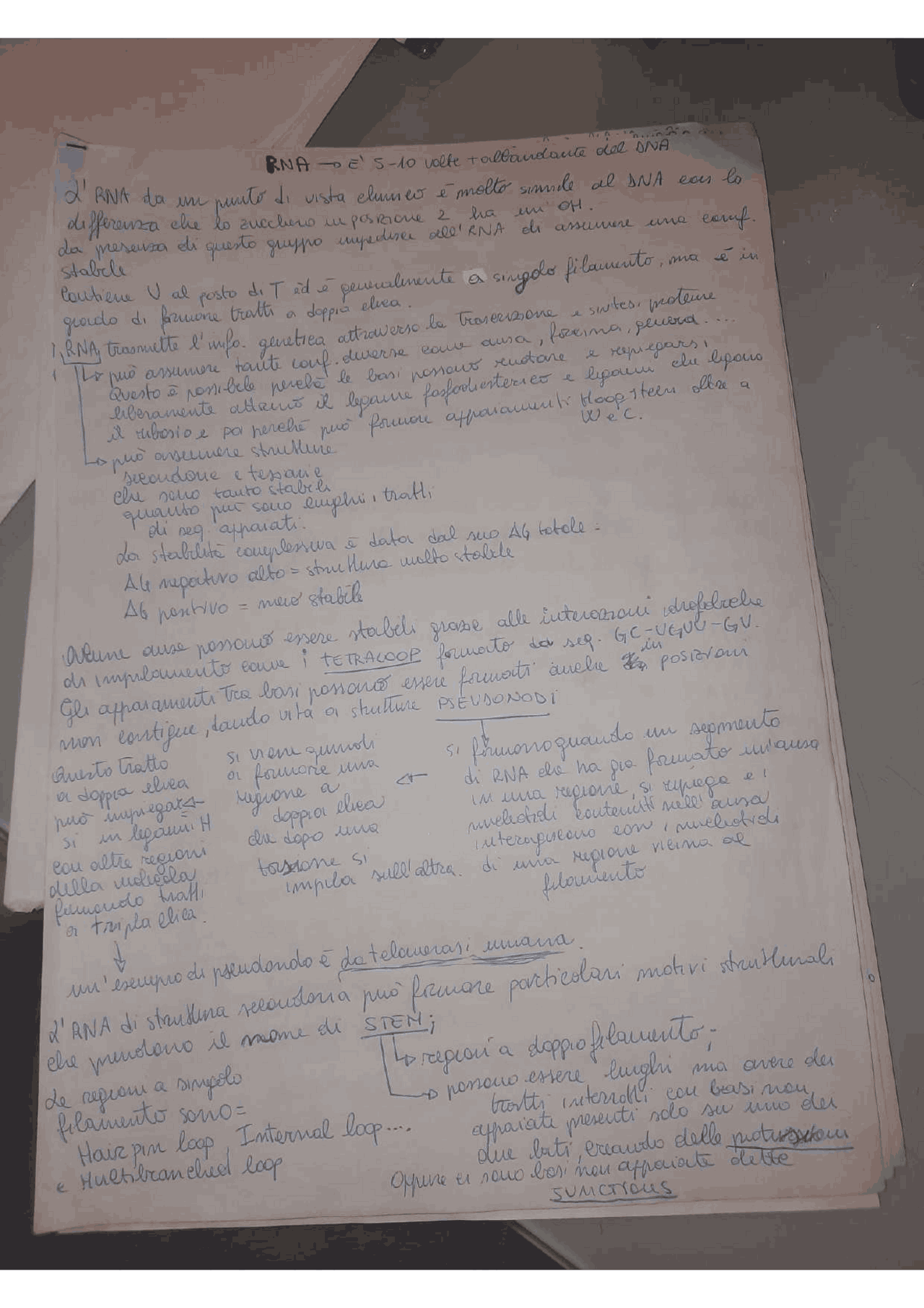 Rna Appuntiintegrazione Con Il Libro Docsity
