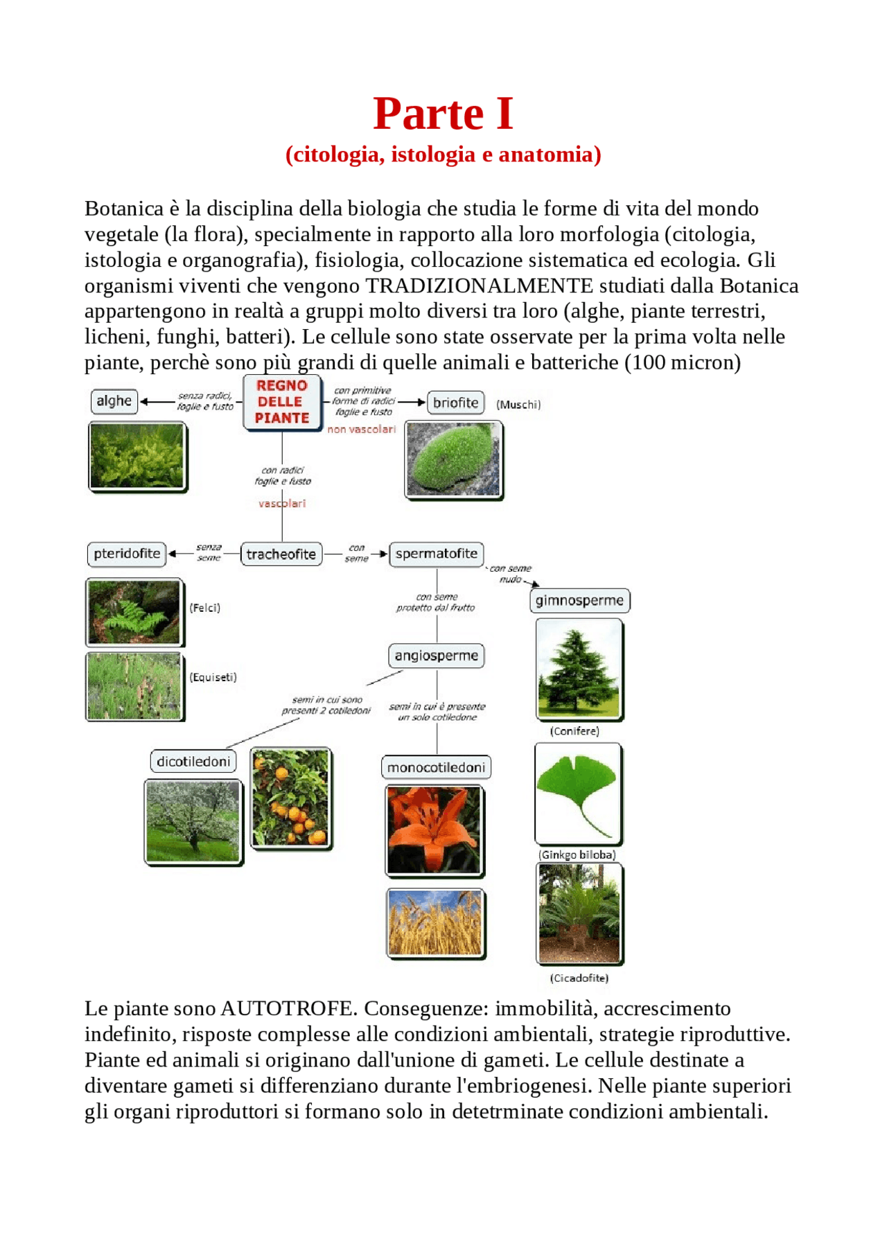 Biologia E Sistematica Vegetale Docsity