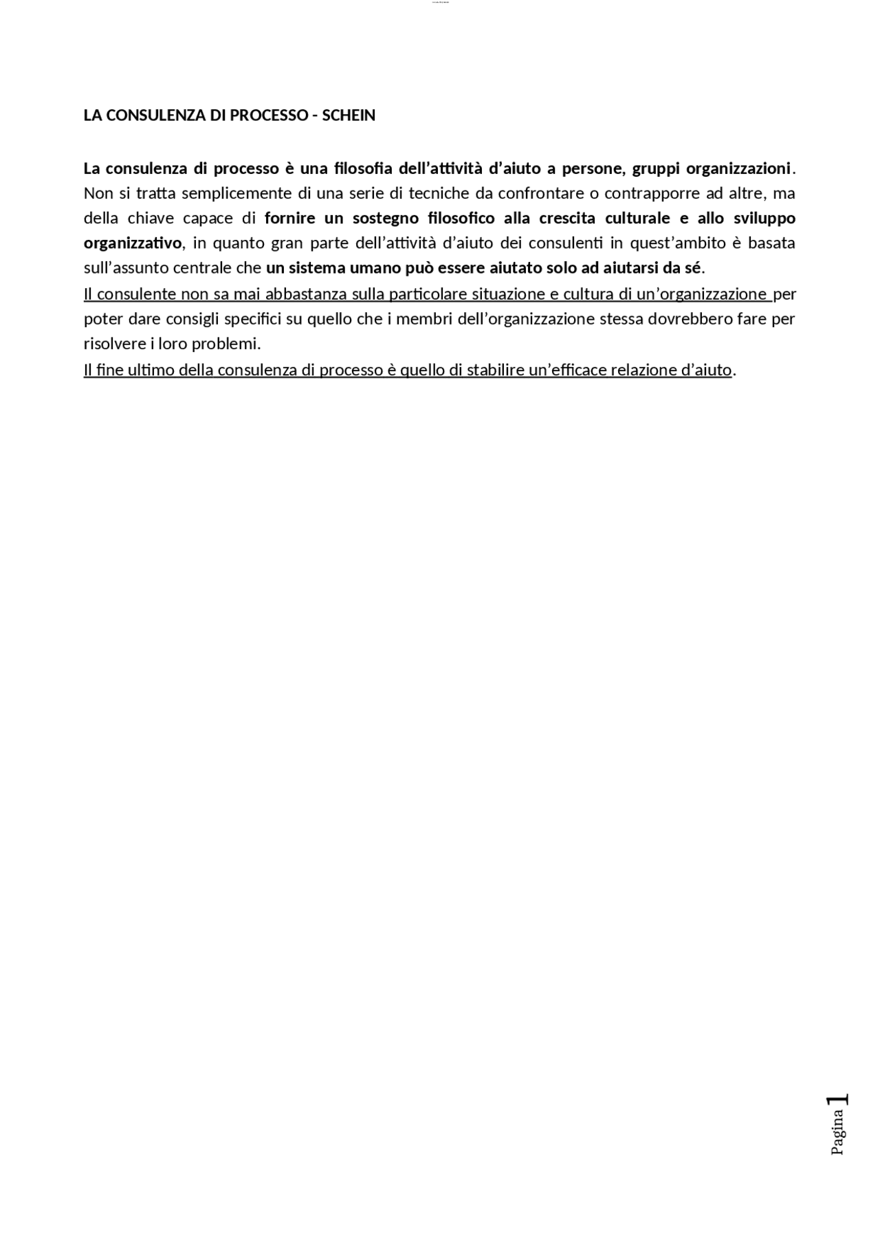 Riassunto La Consulenza Di Processo Docsity