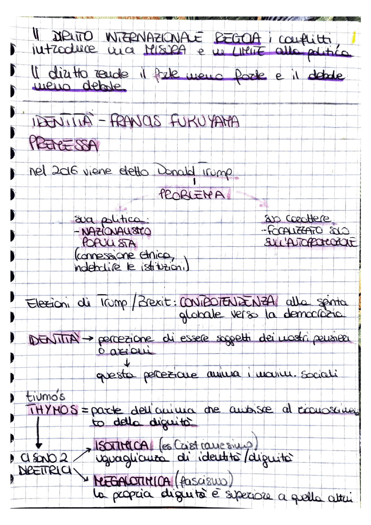 Sintesi Del Libro Identità Di Fukuyama Docsity