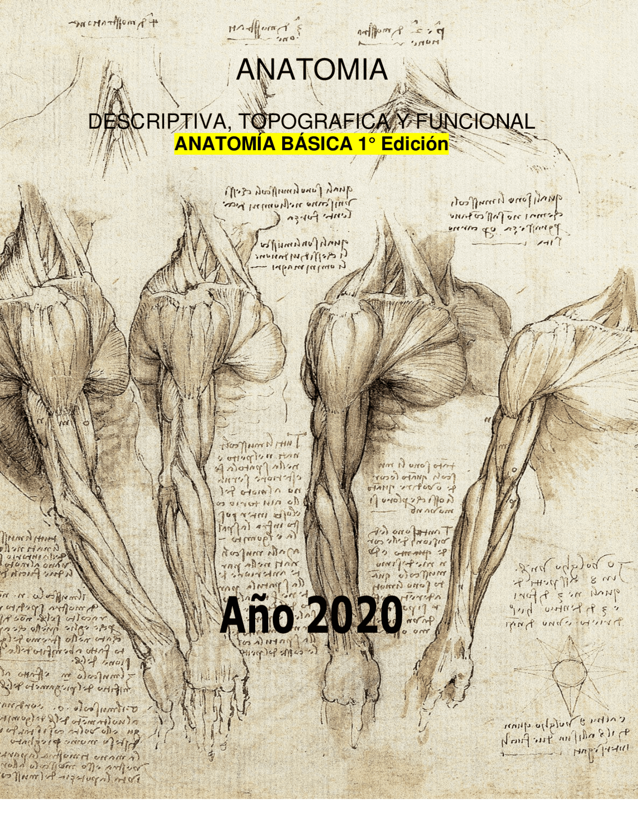 Sistema Urinario Resumen Anatomía Docsity