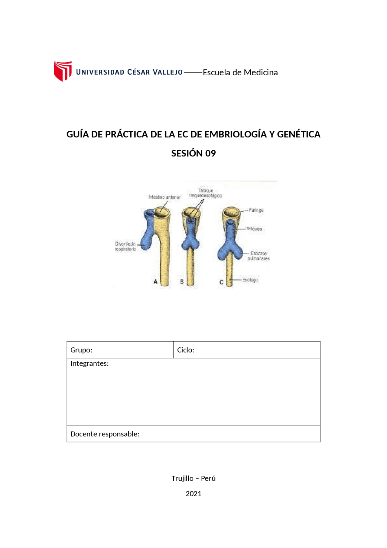 Embriología Practica Docsity