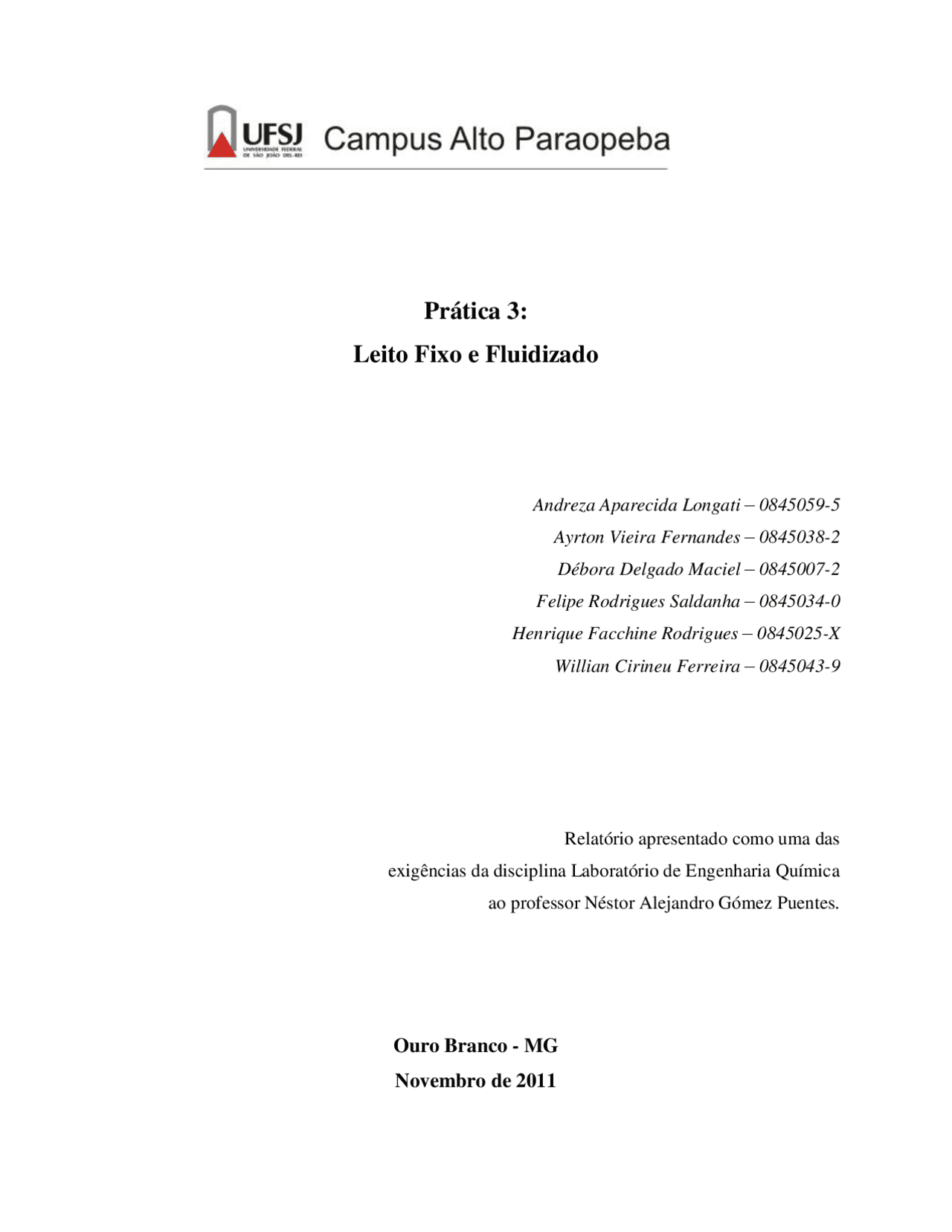 Relatorio de leito fixo - Docsity