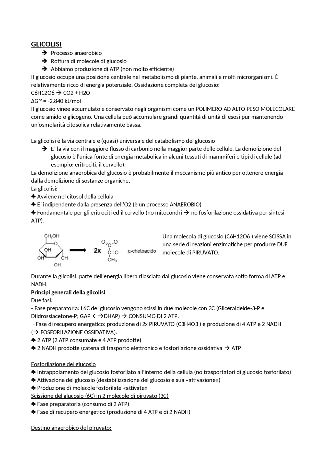 Biochimica Glicolisi Appunti Di Biochimica Docsity