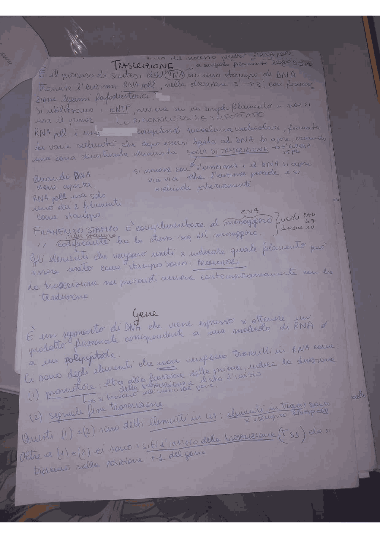 Trascrizione Parte 1 Docsity