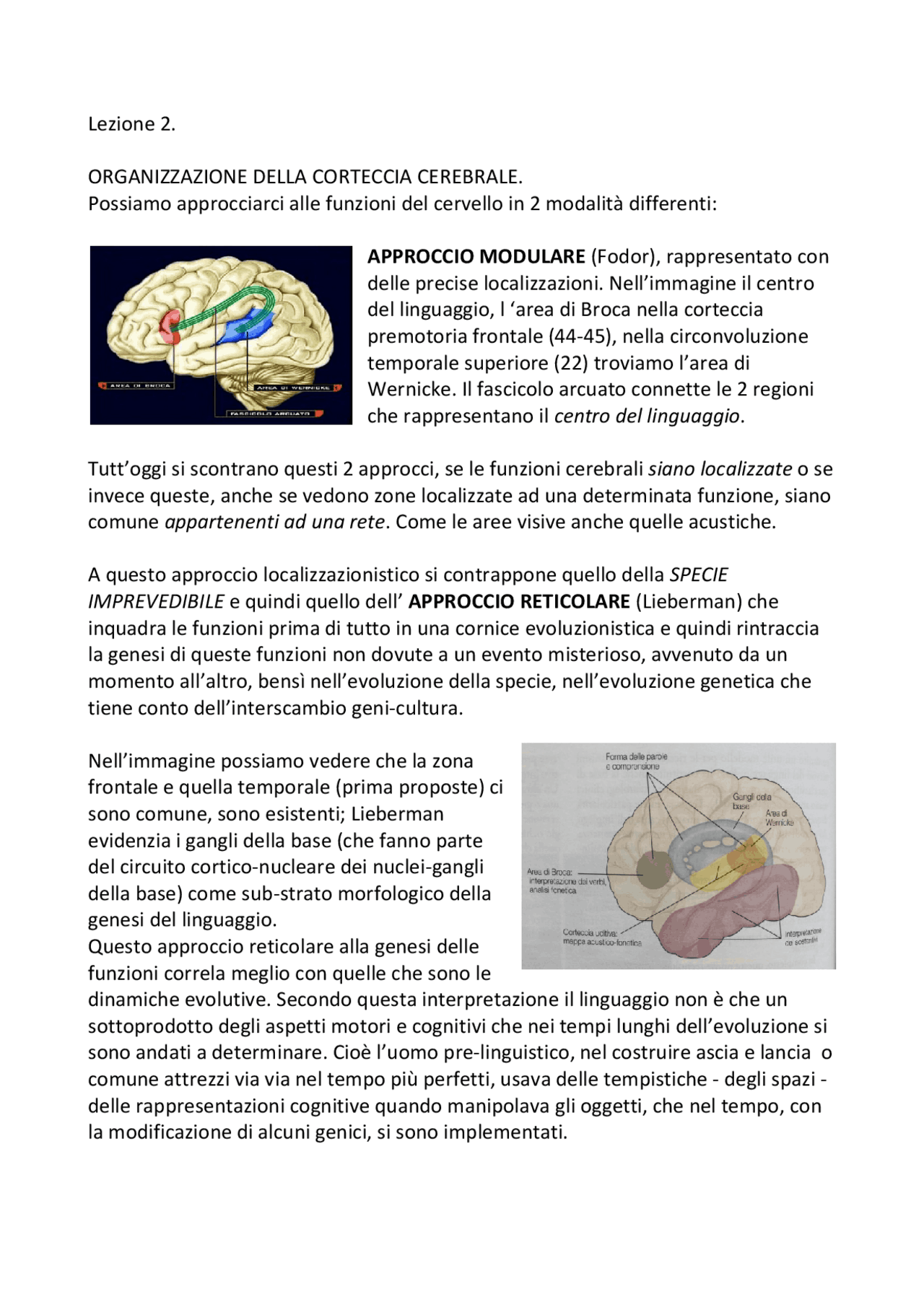 Appunti Di Neuroanatomia Docsity