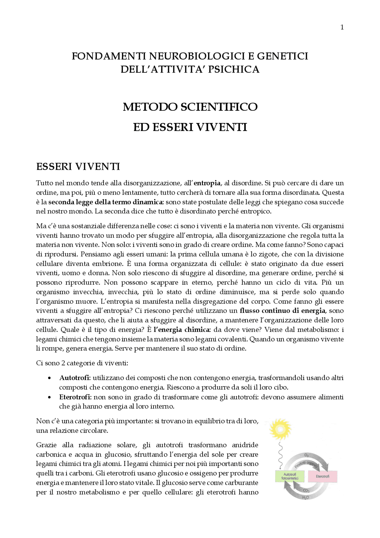Fondamenti Neurobiologici E Genetici Dellattivita Psichica Docsity