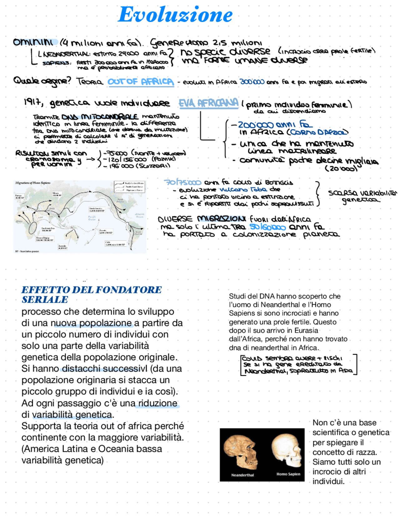 Evoluzione Del Linguaggio Docsity