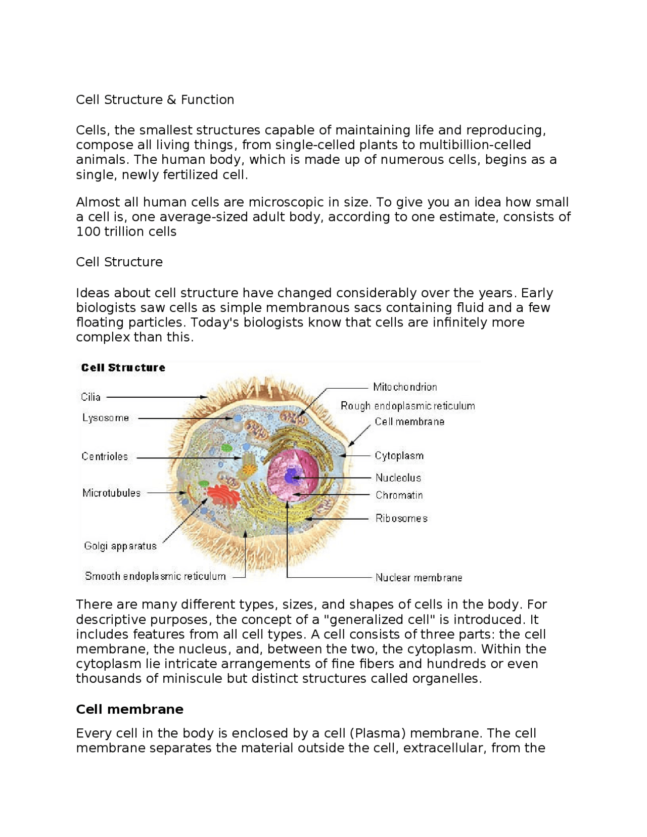 The Cell structure in biology - Docsity