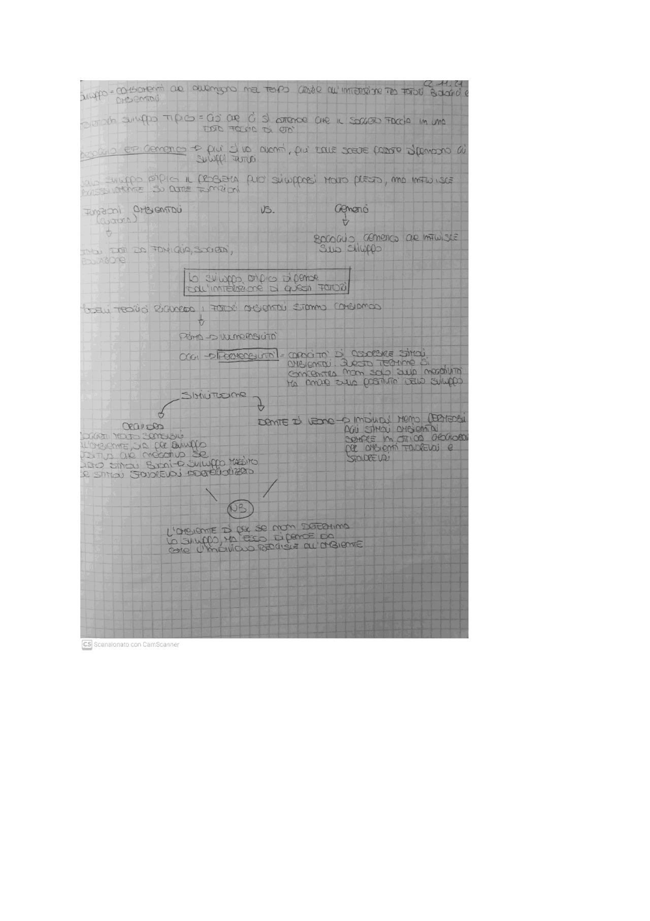 Appunti Psicologia Dello Sviluppo Tipico E Atipico B Docsity