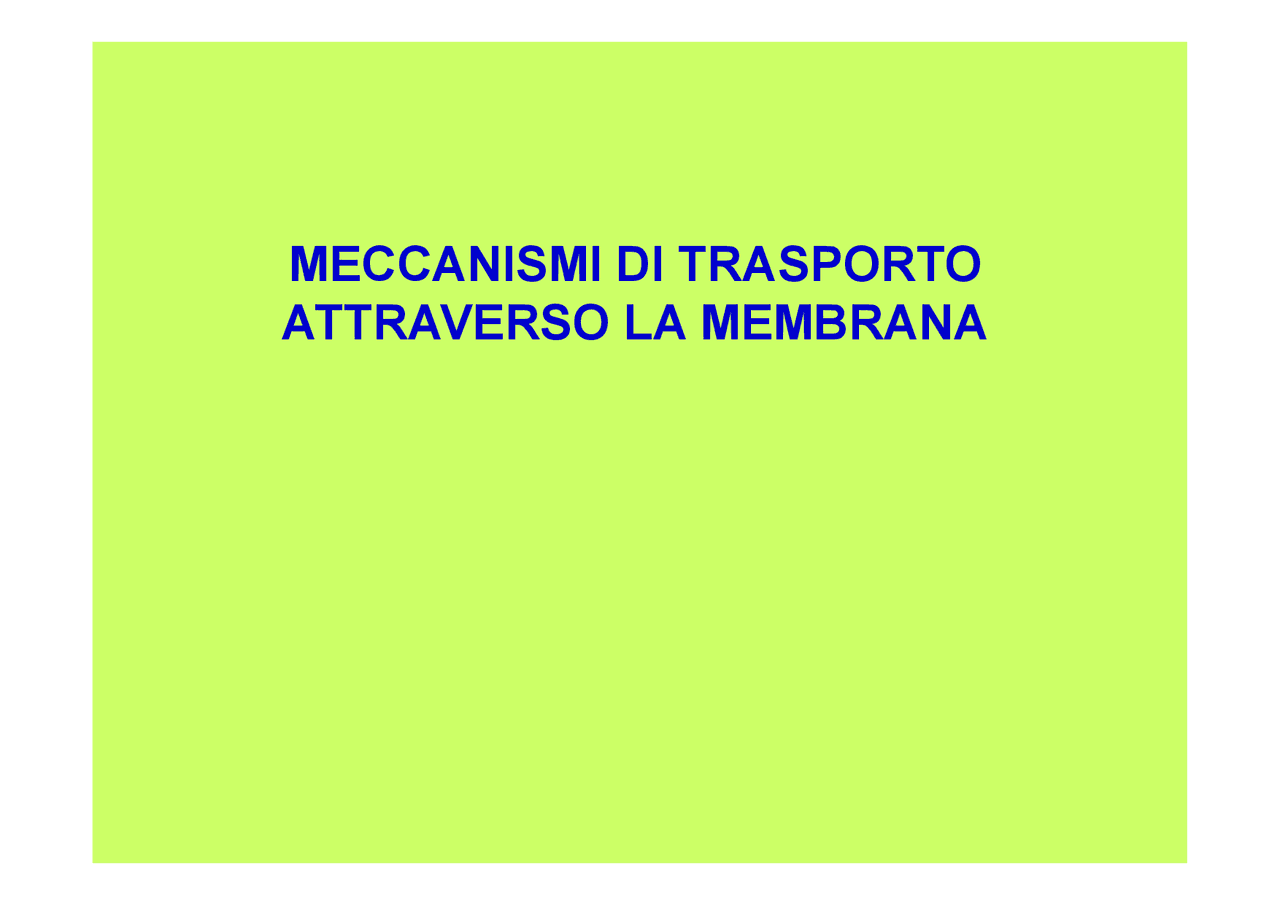 Membrana Plasmatica Trasporti Docsity