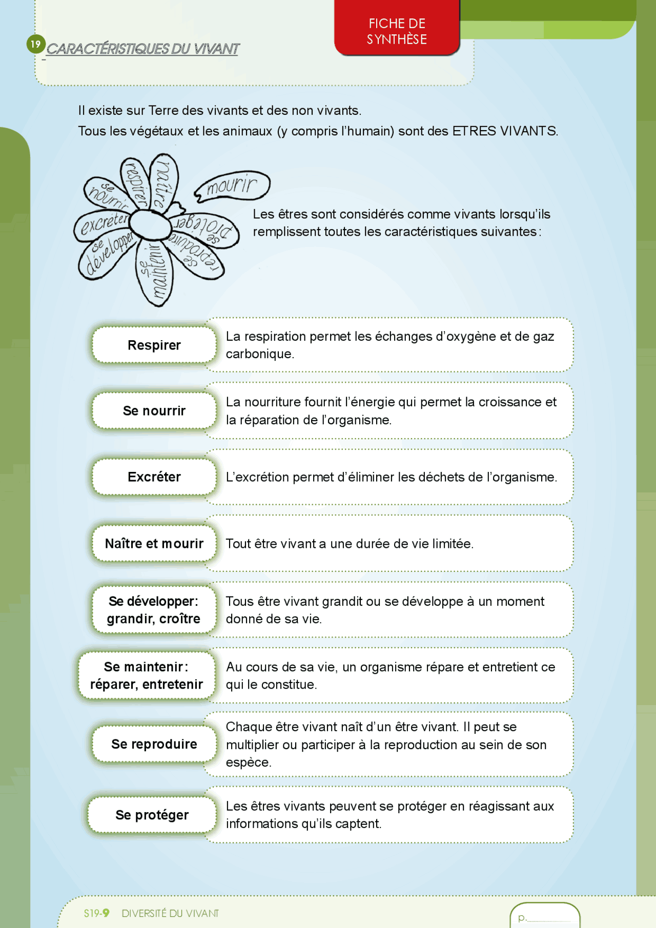 Les caractéristiques du vivant - Docsity