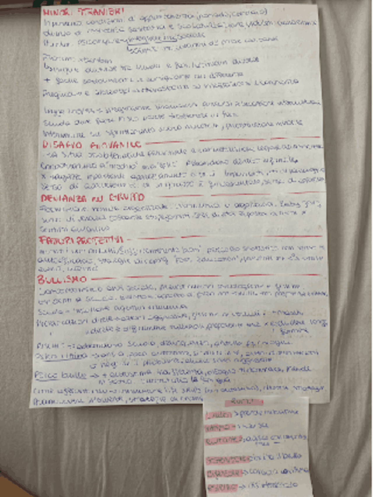 I Minori Parte 2 Riassunto Docsity