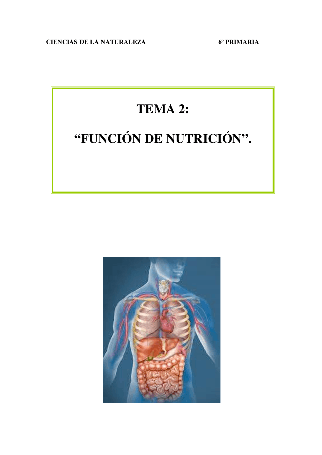 El Aparato Digestivo Docsity