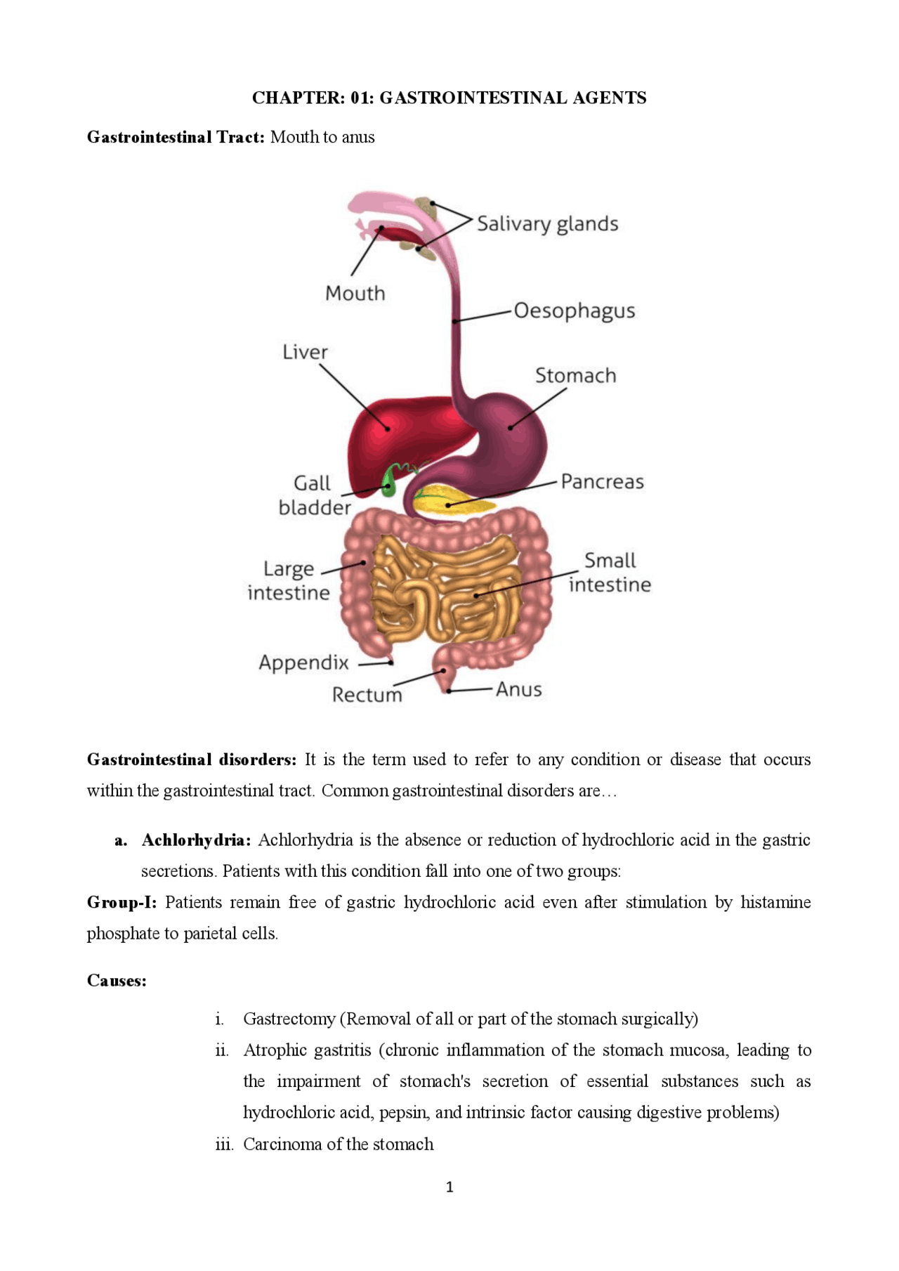 Gastrointestinal Disorders: A Comprehensive Overview of Common ...