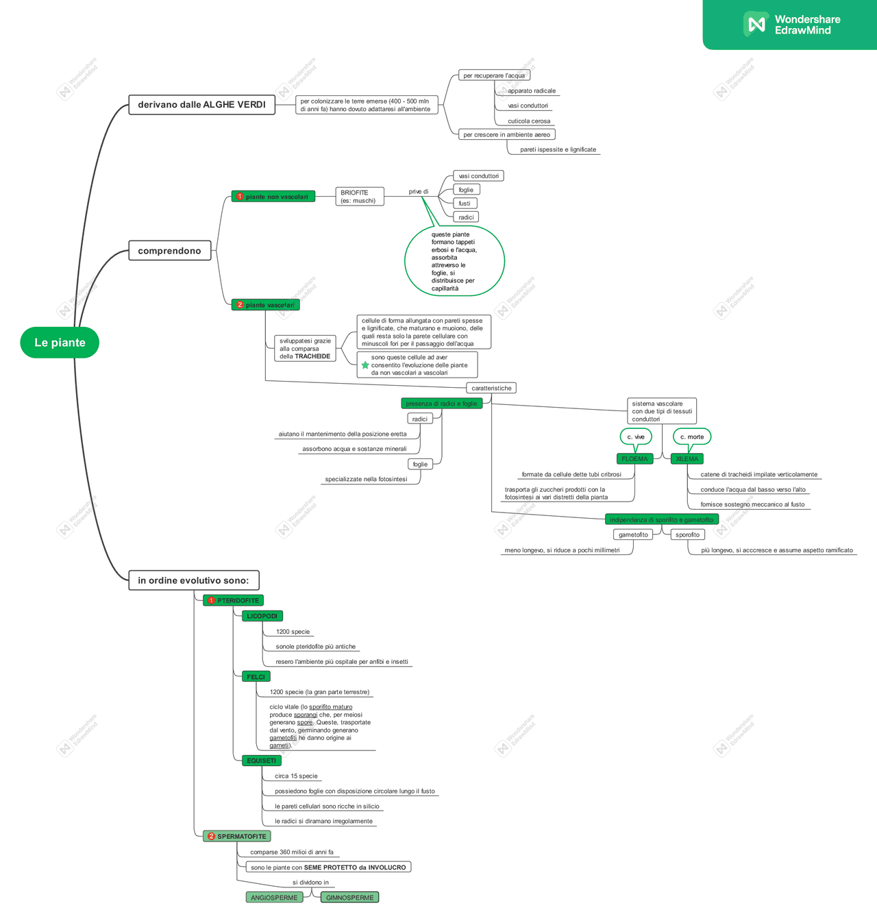 Schema Generale Sulle Piante Docsity