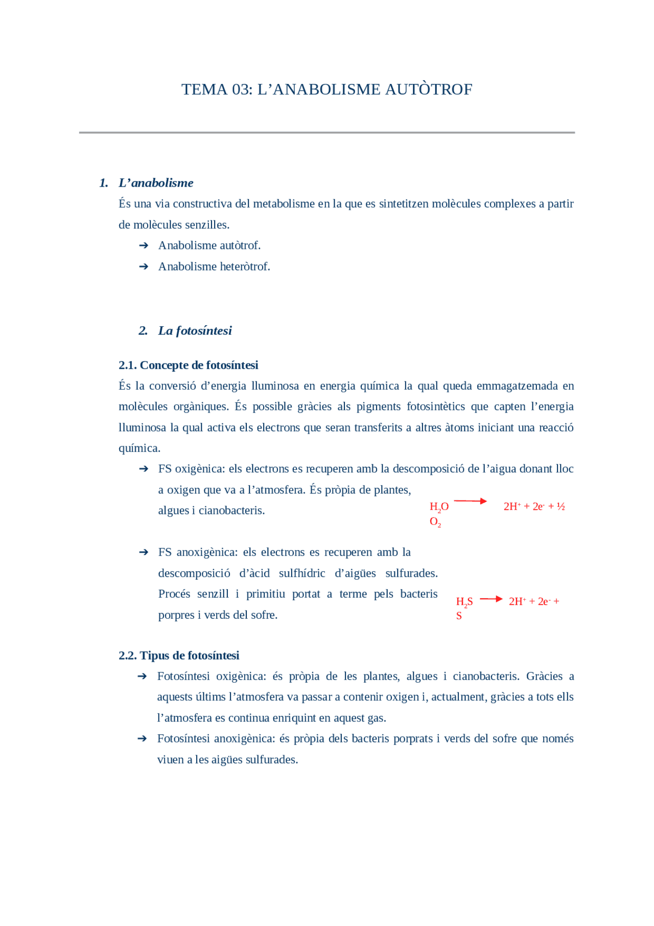 Anabolisme Autòtrof Esquemas Y Mapas Conceptuales De Biología Docsity
