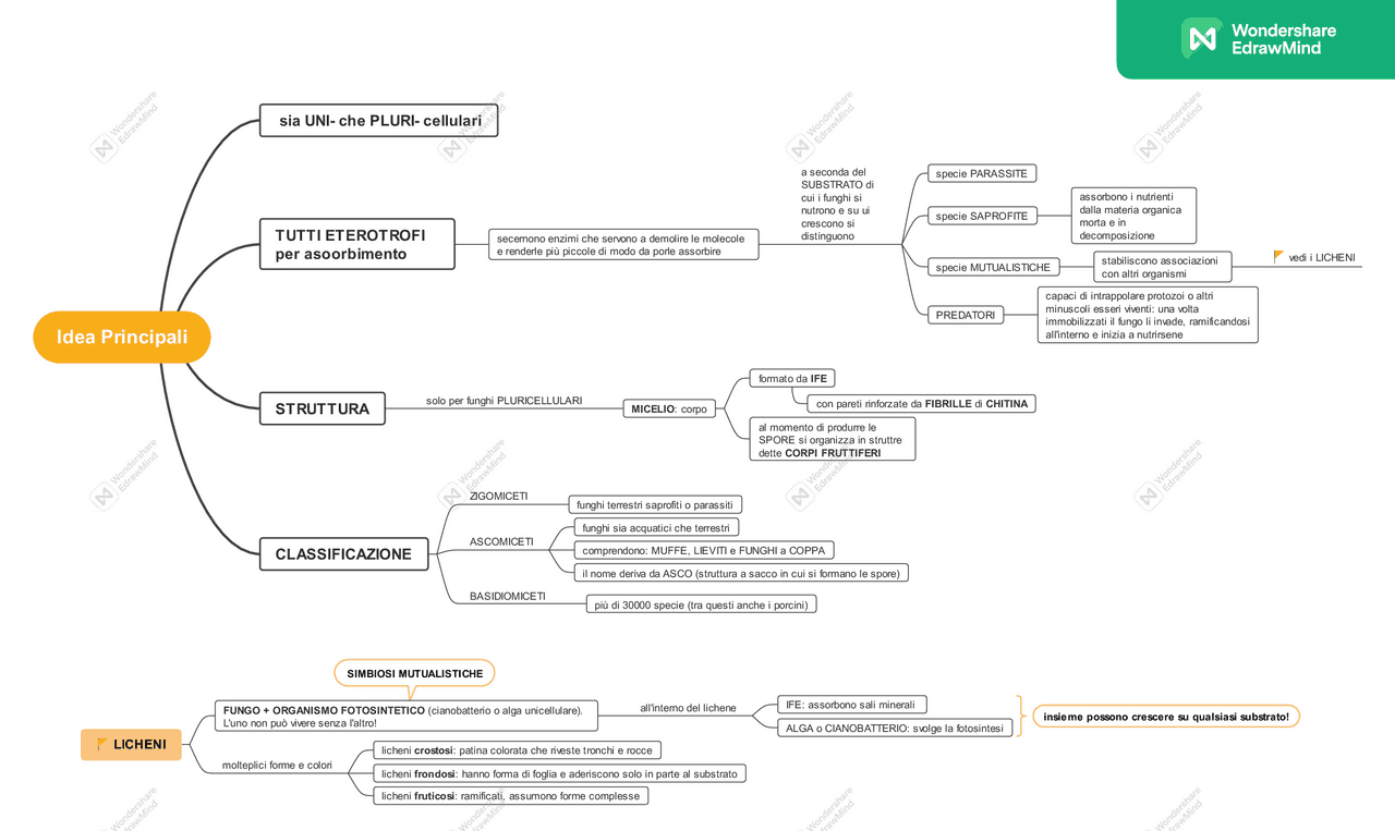 Schema Riassuntivo Sui Funghi Docsity
